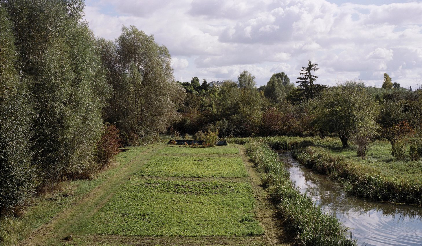 Pépinière, laboratoire du vivant